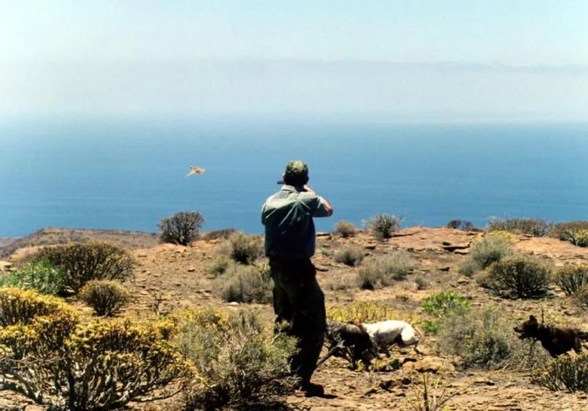 Cinco días más de caza con perro y hurón y tres para cetrería en Gran ...